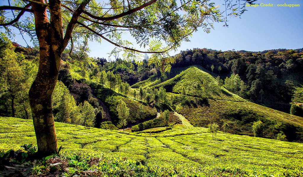Most Visited Places In India By Foreign Tourists | Waytoindia