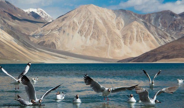 10 Most Peaceful Places In India – My CMS