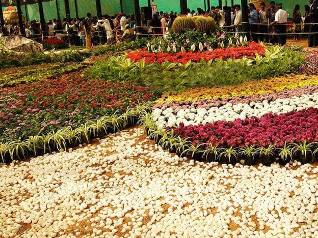 6 Must Attend Flower Festivals Of India – India Travel Blog | India Tours