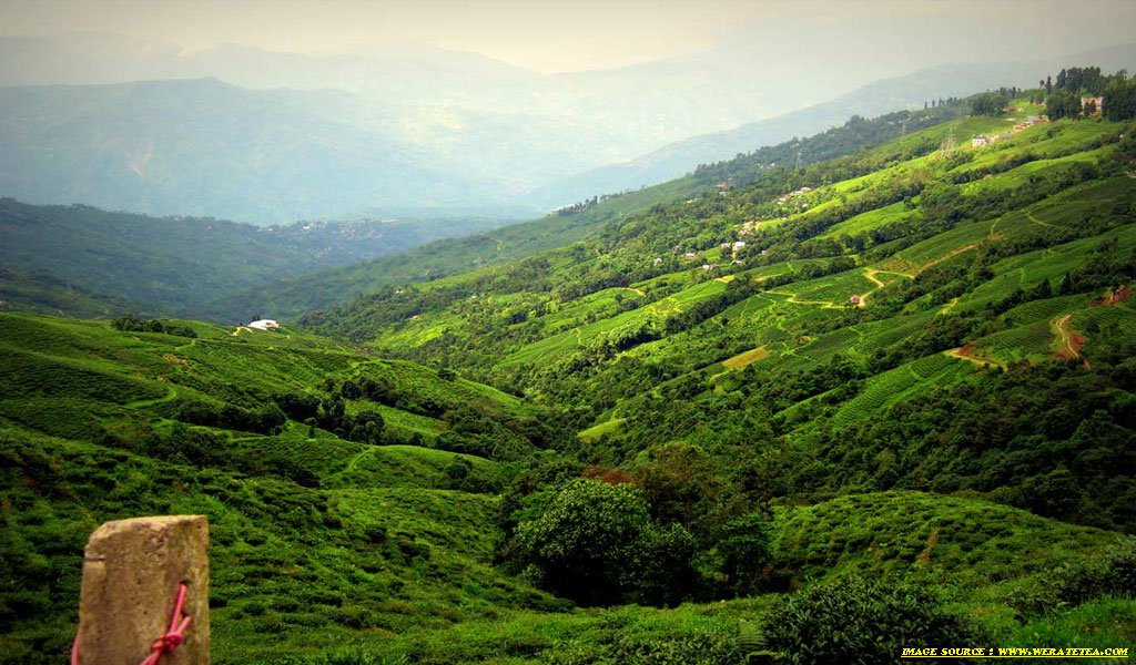 Top 10 Amazing Places In India – India Travel Blog | India Tours