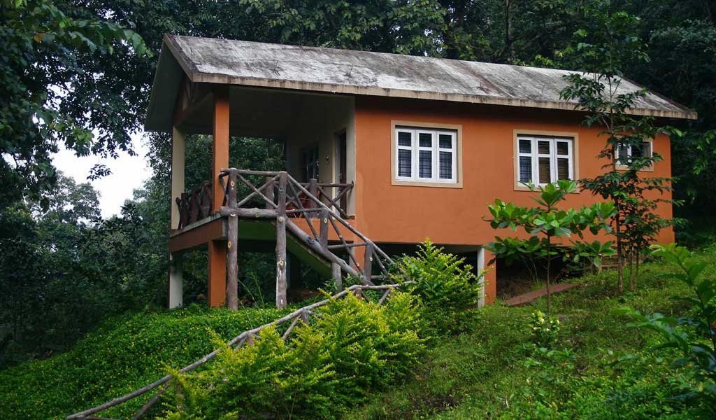 Top 7 Romantic Tree House Resorts In India – India Travel Blog | India ...