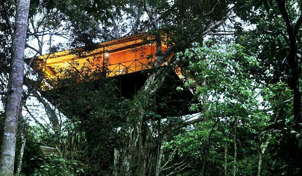 Top 7 Romantic Tree House Resorts In India – India Travel Blog | India ...